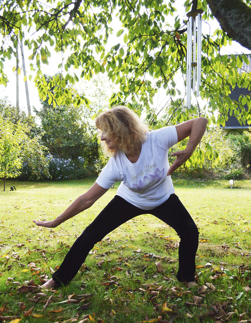 Association cascades - cours de qi gong normandie | QI GONG et SHENG ...